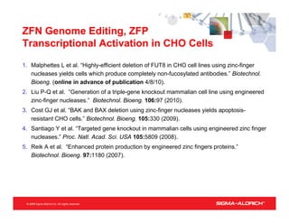Zfn Compozr Mammalian Cle | PDF