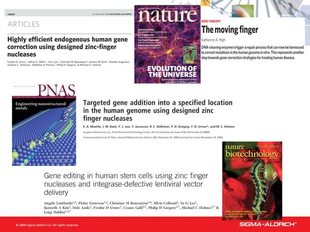 Zfn Technology Overview | PPT