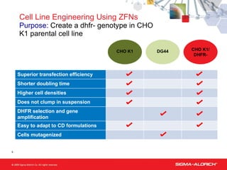 Zfn Technology Overview | PPT