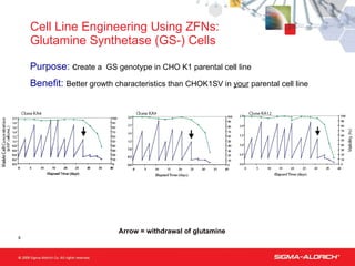 Zfn Technology Overview | PPT