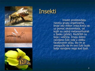 Zglavkari- Jelena Milojević- Marija Cvetković | PPT