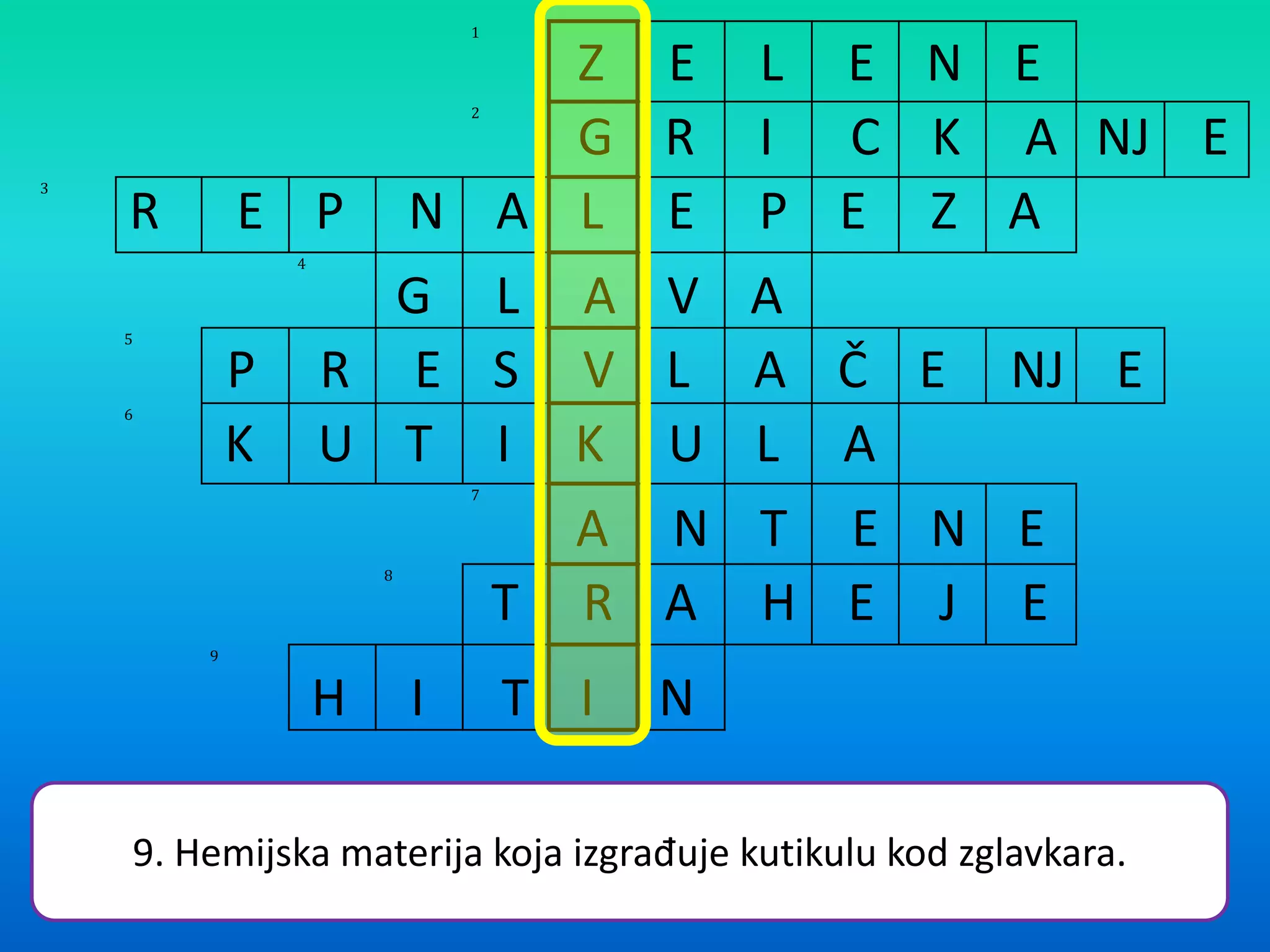 Zglavkari ponavljanje | PPTX