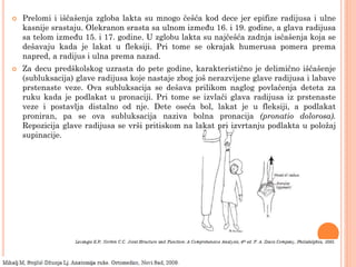 Zglob lakta art. cubiti elbow joint | PDF