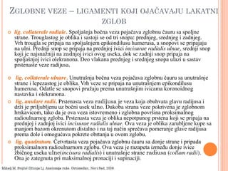 Zglob lakta art. cubiti elbow joint | PDF