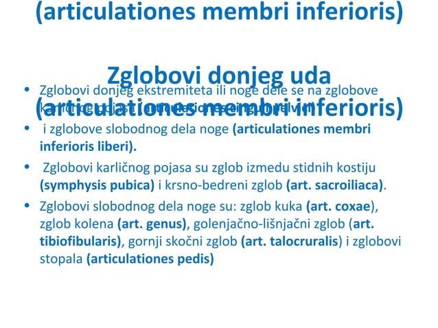 Zglobovi | PPT
