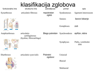 Zglobovi | PPT