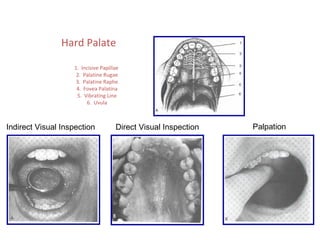 Examination of the oral cavity | PPT