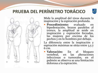 PRUEBAS_SEMIOLOGICAS_COLUMNA_VERTEBRAL.P.pptx