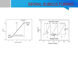 Cell line development ol | PPTX