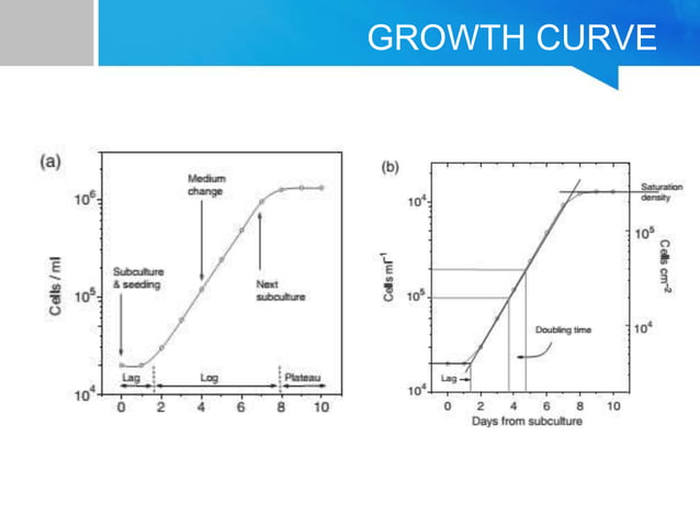 Cell line development ol | PPTX
