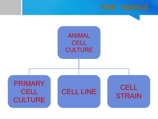 Cell line development ol | PPTX