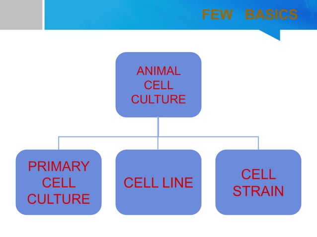 Cell line development ol | PPTX