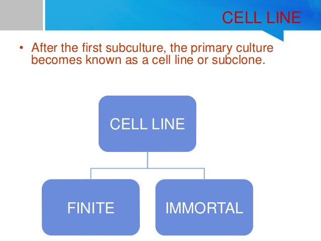 Cell line development ol