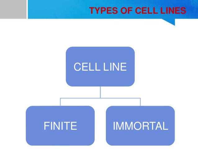 Cell line development ol