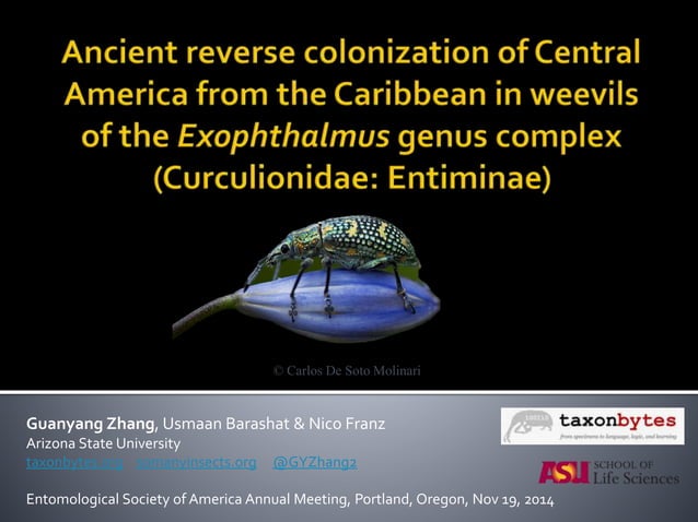 Ancient reverse colonization of Central America from the Caribbean in ...