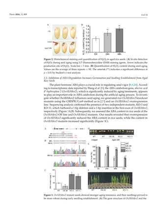 ABA Inhibits Rice Seed Aging by Reducing | PDF
