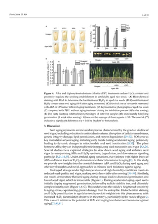 ABA Inhibits Rice Seed Aging by Reducing | PDF