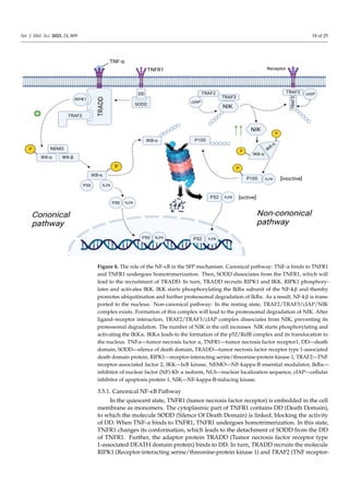 [Zhernov et al 2023] Molecular Mechanisms of Scombroid Food Poisoning.pdf