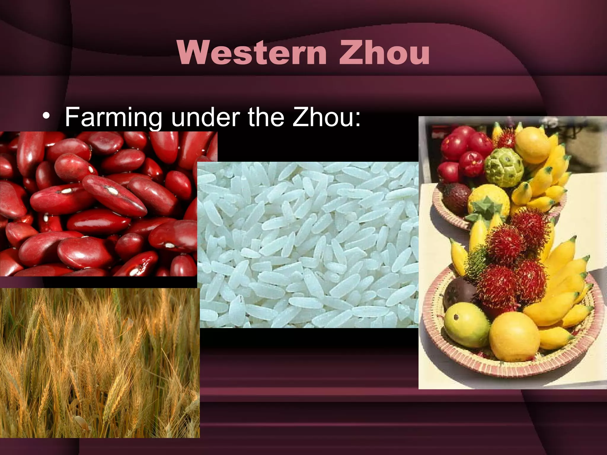 Zhou Dynasty Ppt | PPT