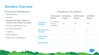 Sandboxes: The Future of App Development by Evan Barnet & Pam Barnet | PPT