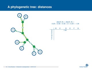 Introduction to Phylogenetics | PDF
