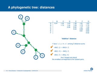 Introduction to Phylogenetics | PDF