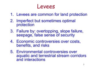 Up or Out?—Economic-Engineering Theory of Flood Levee Height and ...