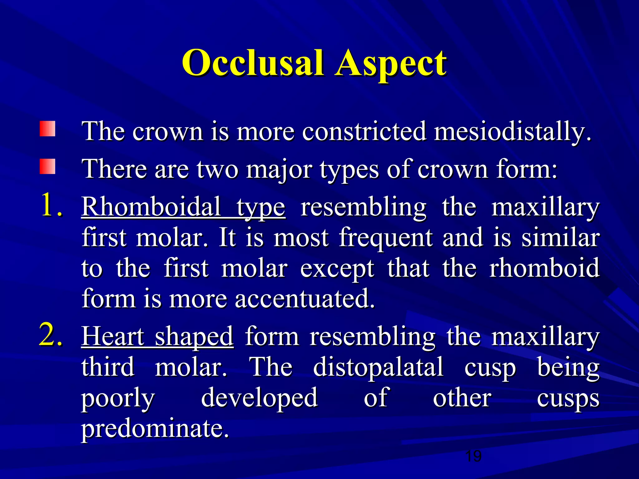 Maxillary second and third molars | PPT