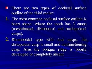 Maxillary second and third molars | PPT