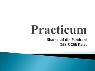 practicum presentation | PPTX