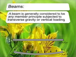 beam design types civil engineering .ppt