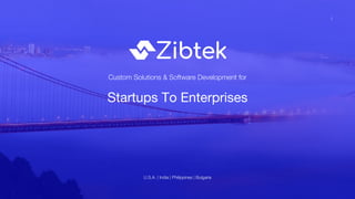 Zibtek Company Presentation | PPT
