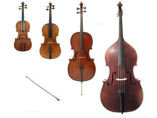Zicani instrumenti | PPSX