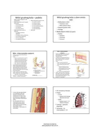 Zidovi grudnog kosa | PDF