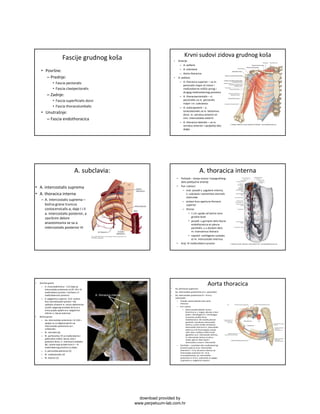 Zidovi grudnog kosa | PDF