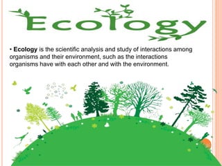 Richard Kerridge "Ecocriticism" as a scientific study | PPT