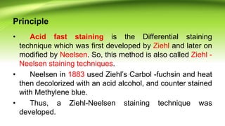 ziehl & zeelen stain-1.pptx