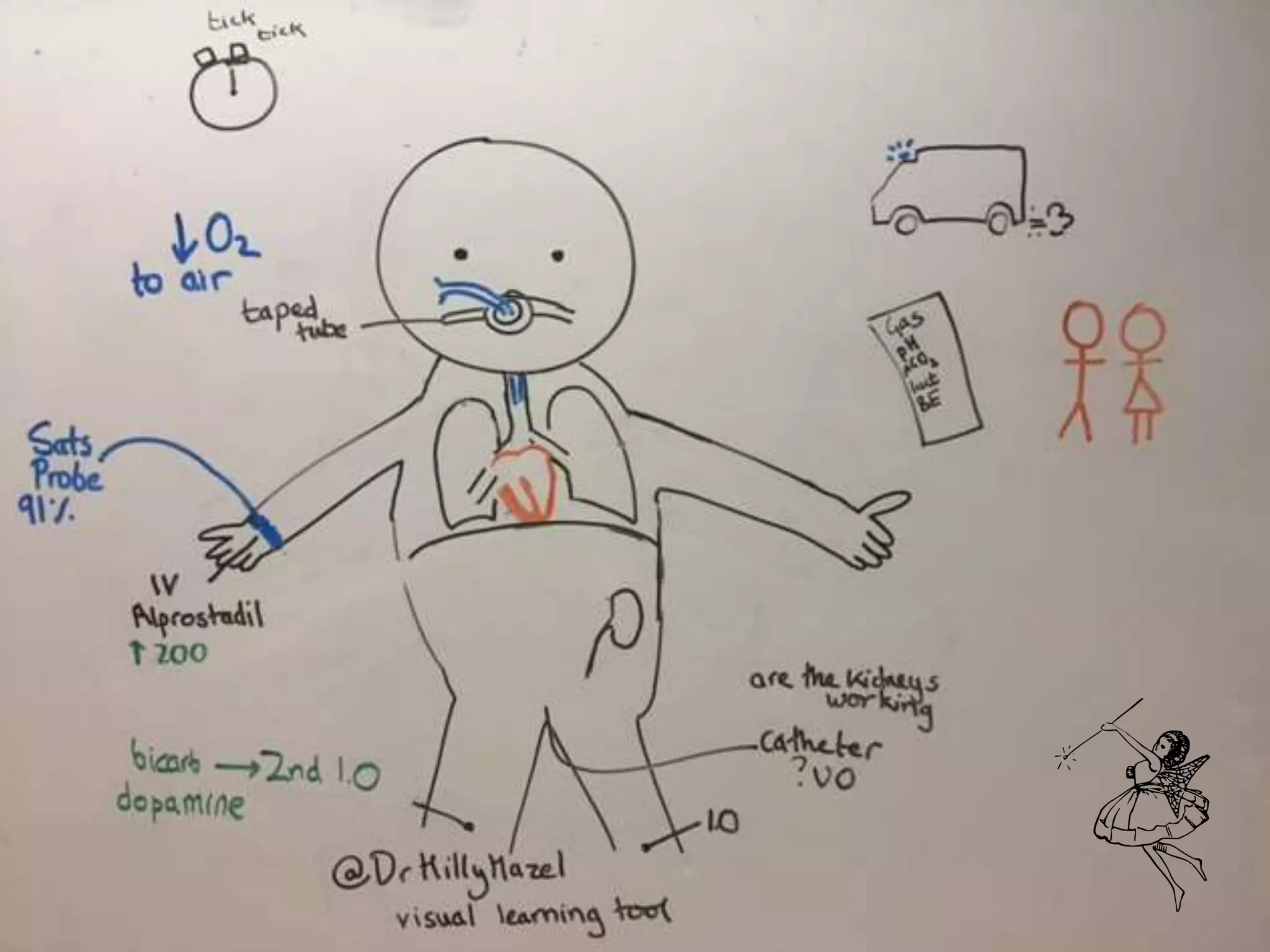 Neonatal and Paediatric Retrieval: Hazel Talbot | PPTX