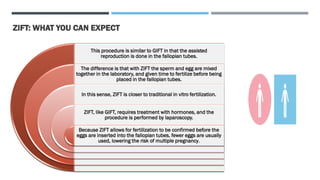 zygote interfelloporin transfer. Z*FT ppt | PDF | Pregnancy ...