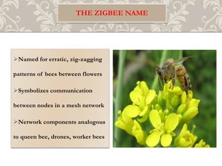 Zig Bee | PPT