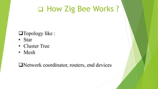 ZIG BEE PRESENTATION..pptx