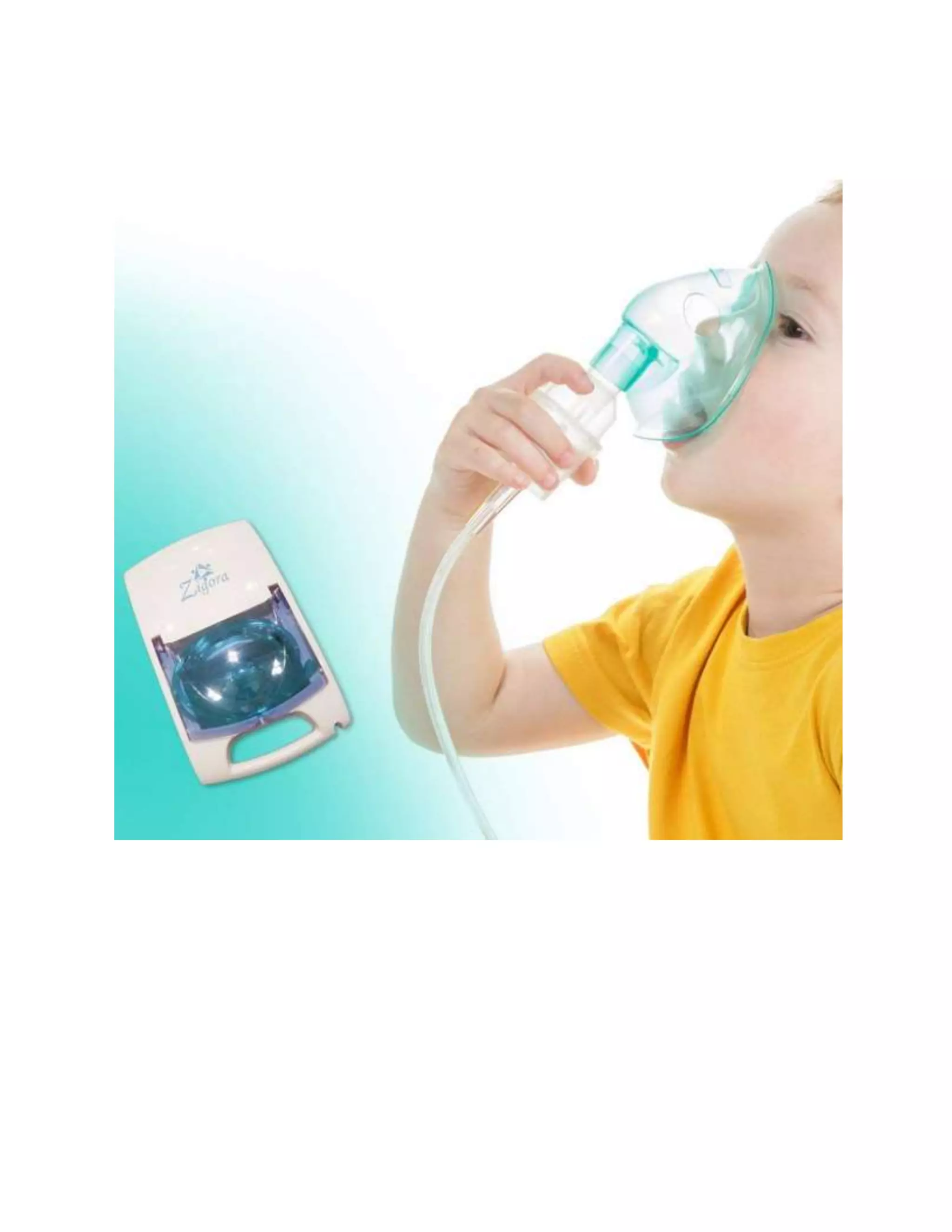 ZIGORA PORTABLE STEAM COMPRESSOR | PDF