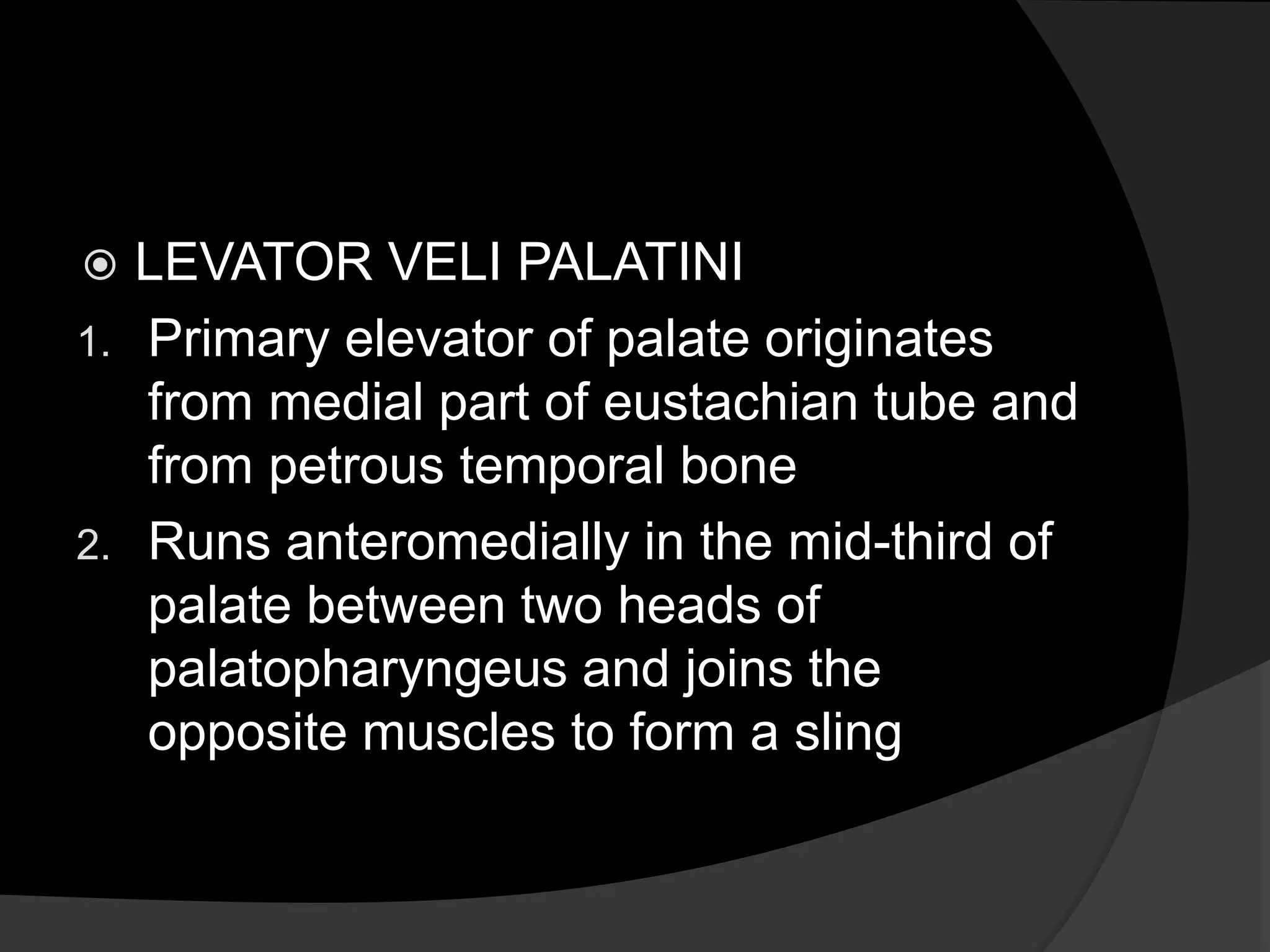 Cleft_lip_and_palate.pptx
