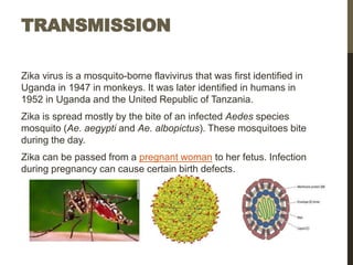 Zika | PPTX