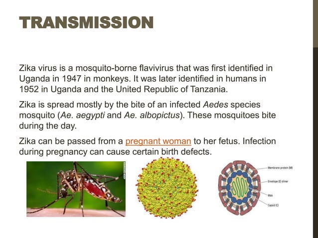 Zika | PPT