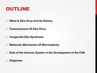 Zika Virus | PPTX