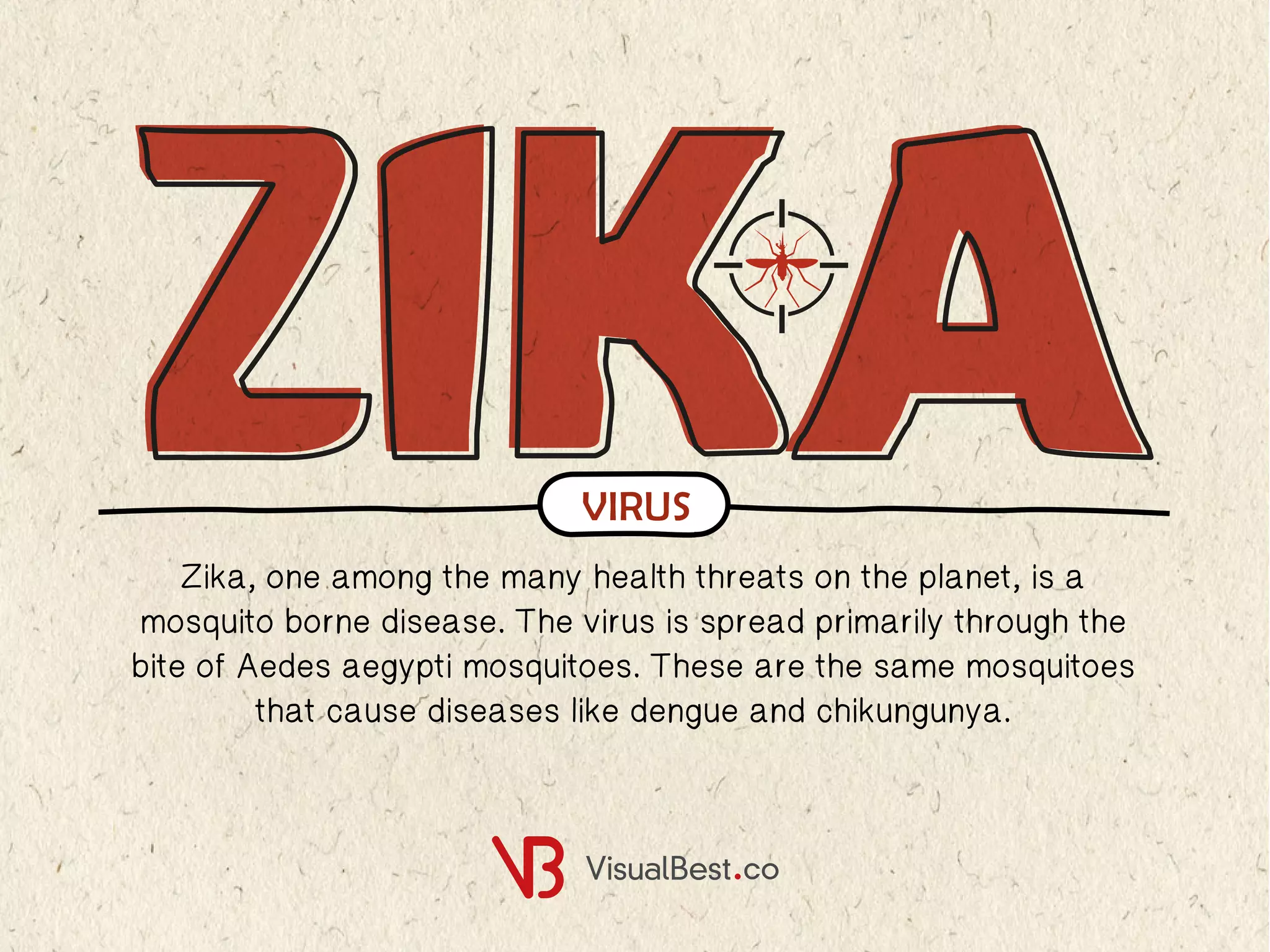 What is Zika Virus? | PDF | Infectious Diseases | Diseases and Conditions