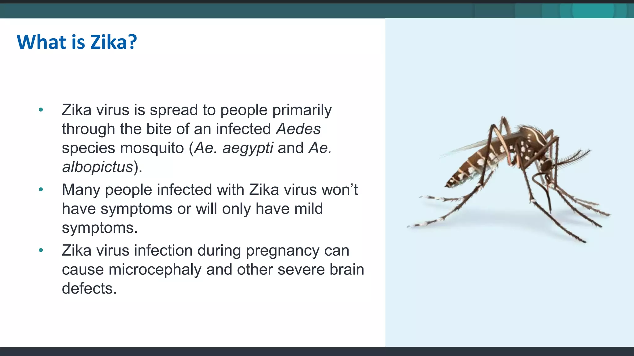Zika Virus - Effects & Treatment | PPTX