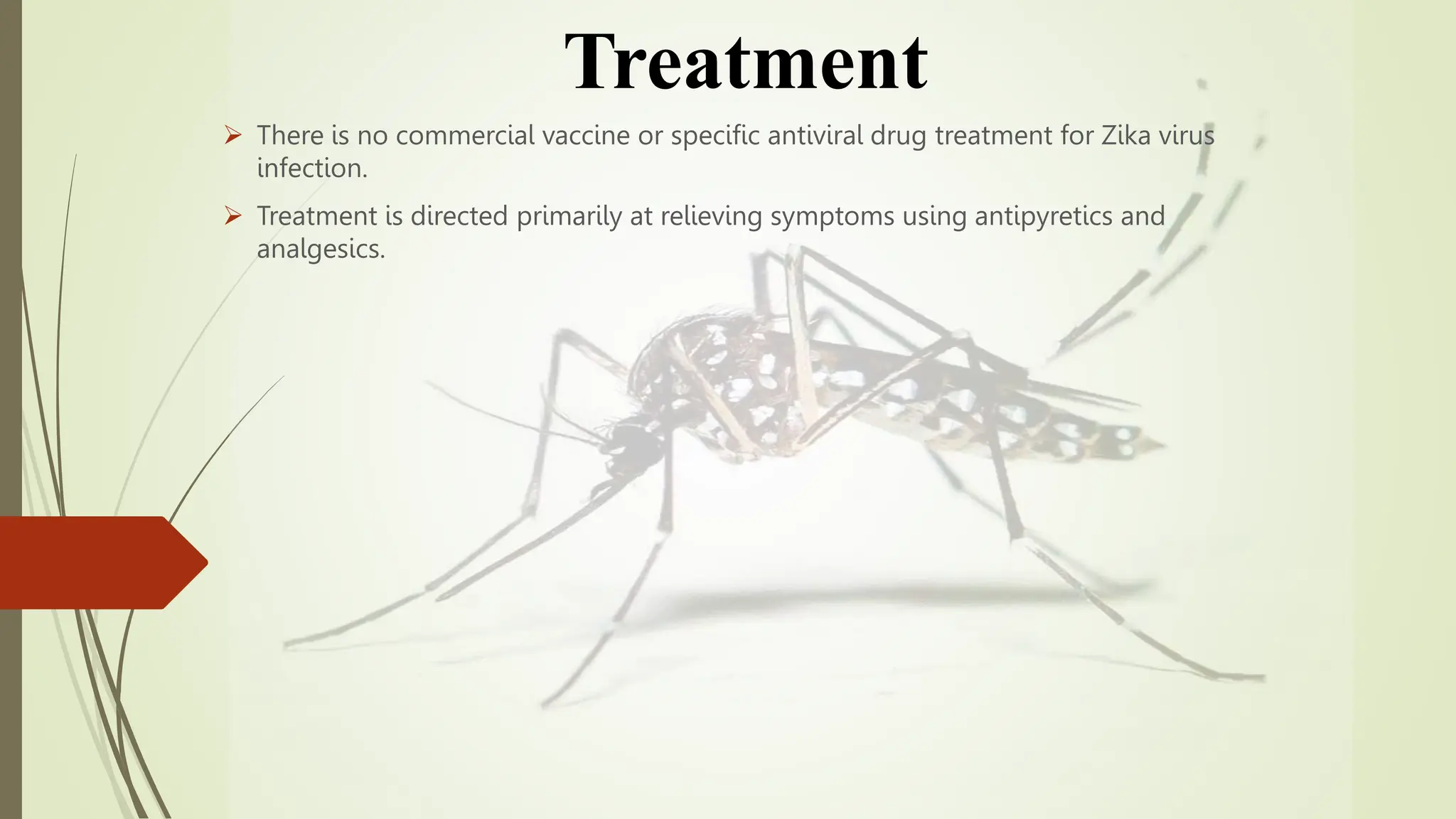 zika virus.pptx
