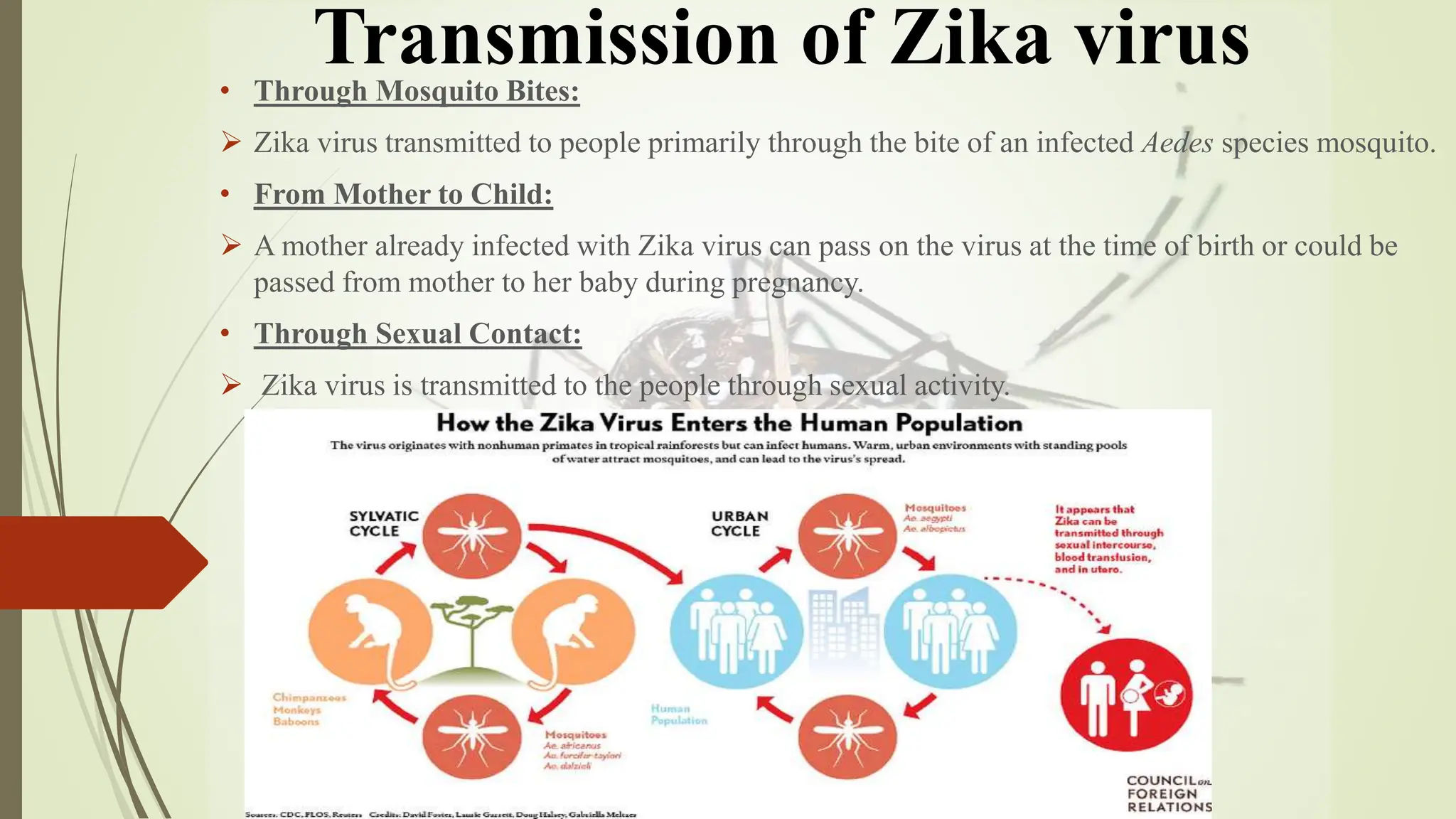 zika virus.pptx